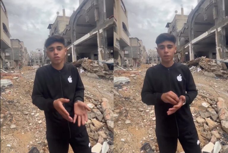 Gaza's Heartfelt Plea: Abood Turns to 'Animal Rights' Exhausted by ...